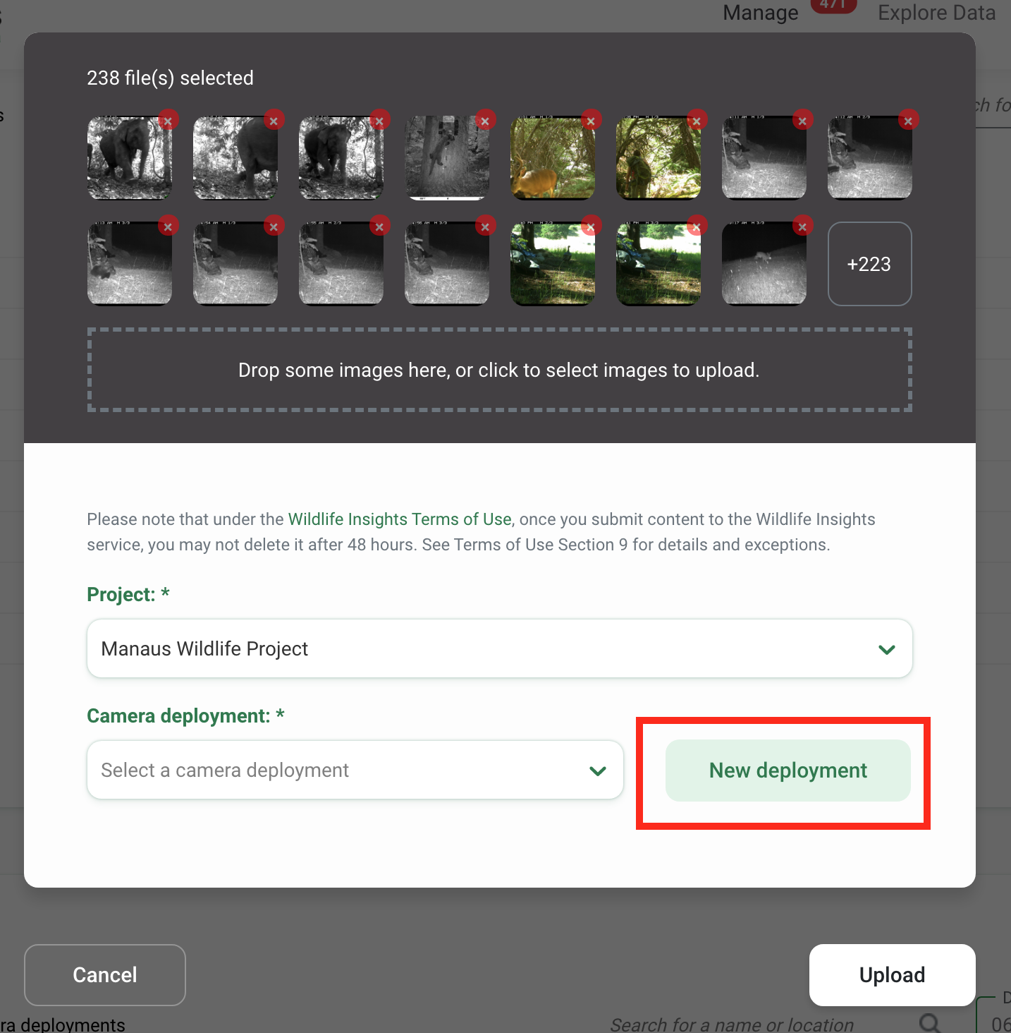 Projects | Wildlife Insights